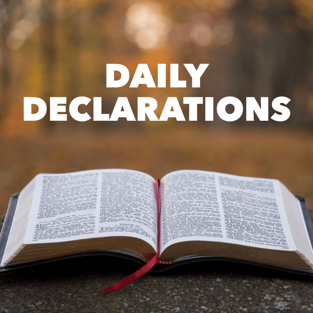 Daily Declarations – What Can Be Gained | «Small Wins Create Massive ...